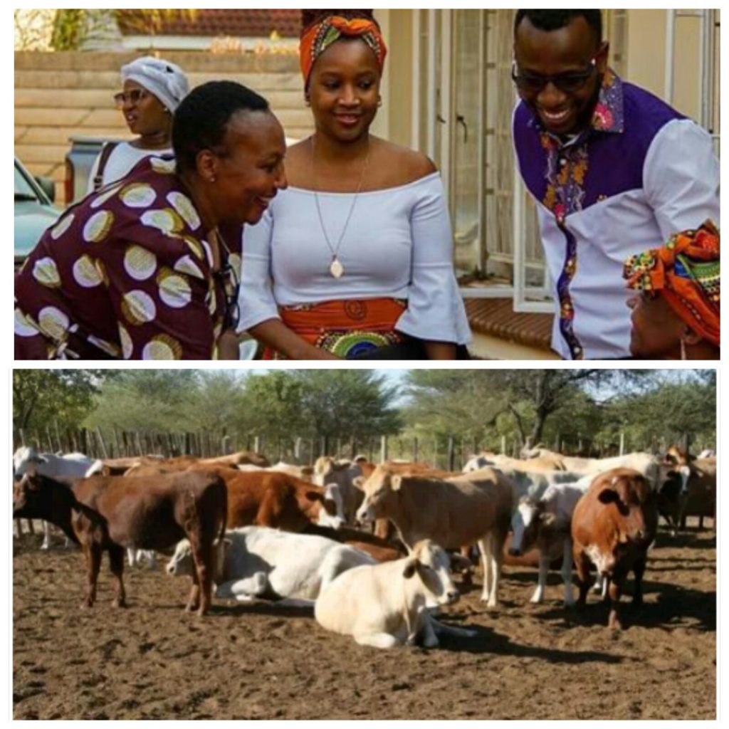 Clipkulture | Zimbabwe Bride Price ‘Roora’ Payment Procedure