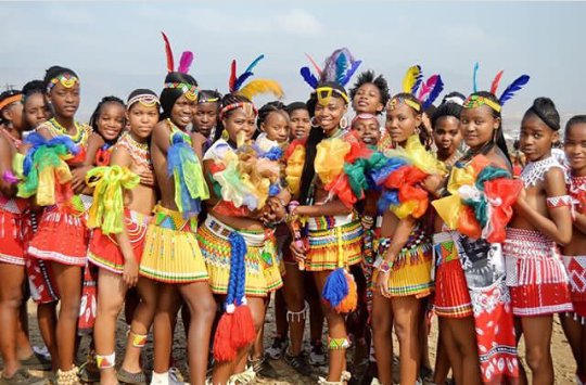 Clipkulture | Swati Maidens In Traditional Attire At The Reed Dance ...