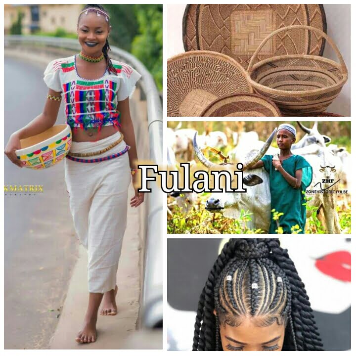 Clipkulture | Interesting Facts about the Fulani