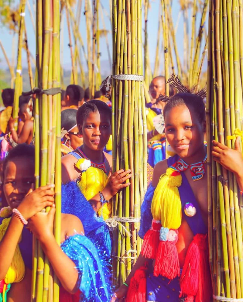 Clipkulture | Swati Maidens With Their Reeds For Reed Dance Festival 2019